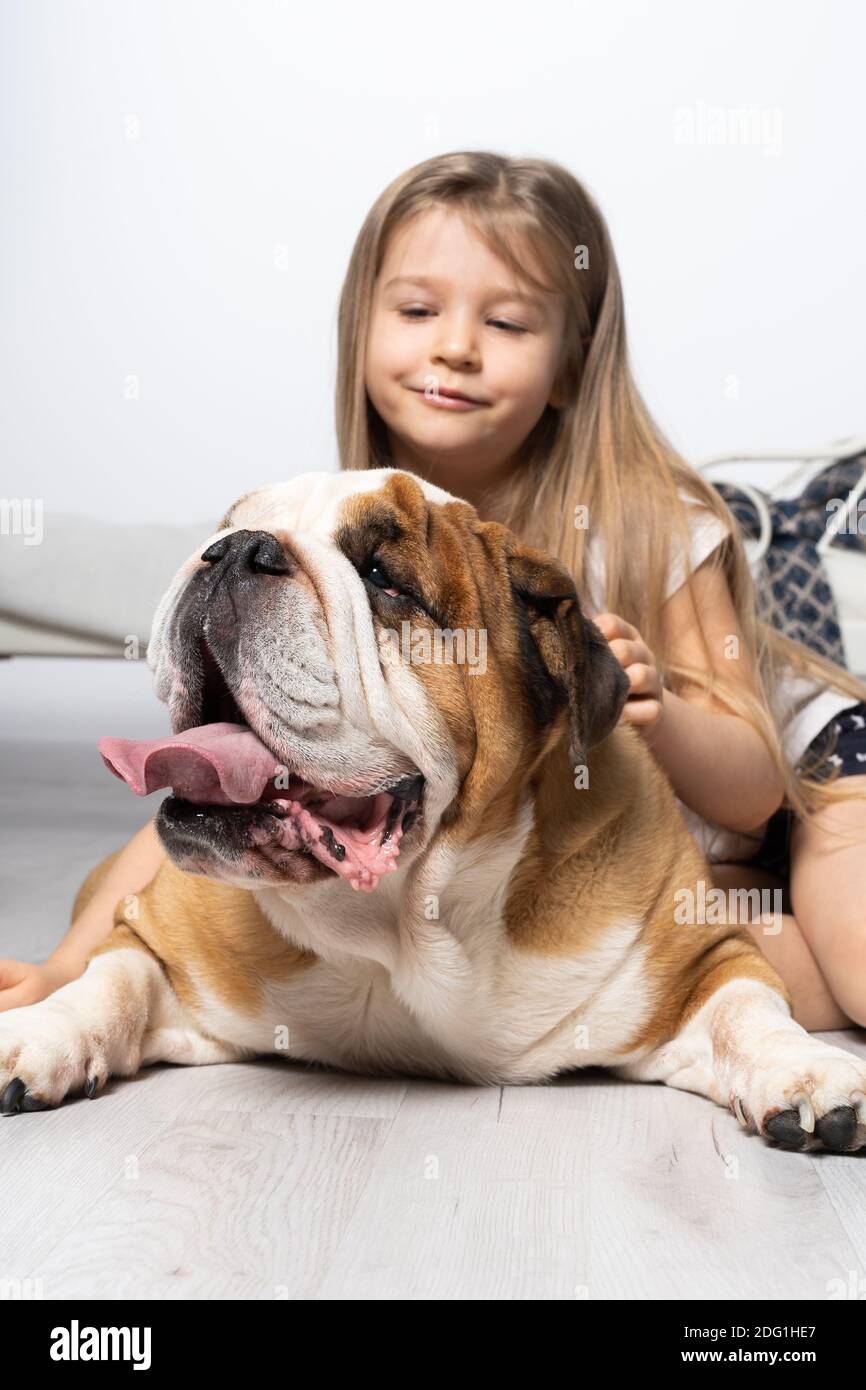 An old and fat dog and a tiny and young girl sit on the floor by the ...