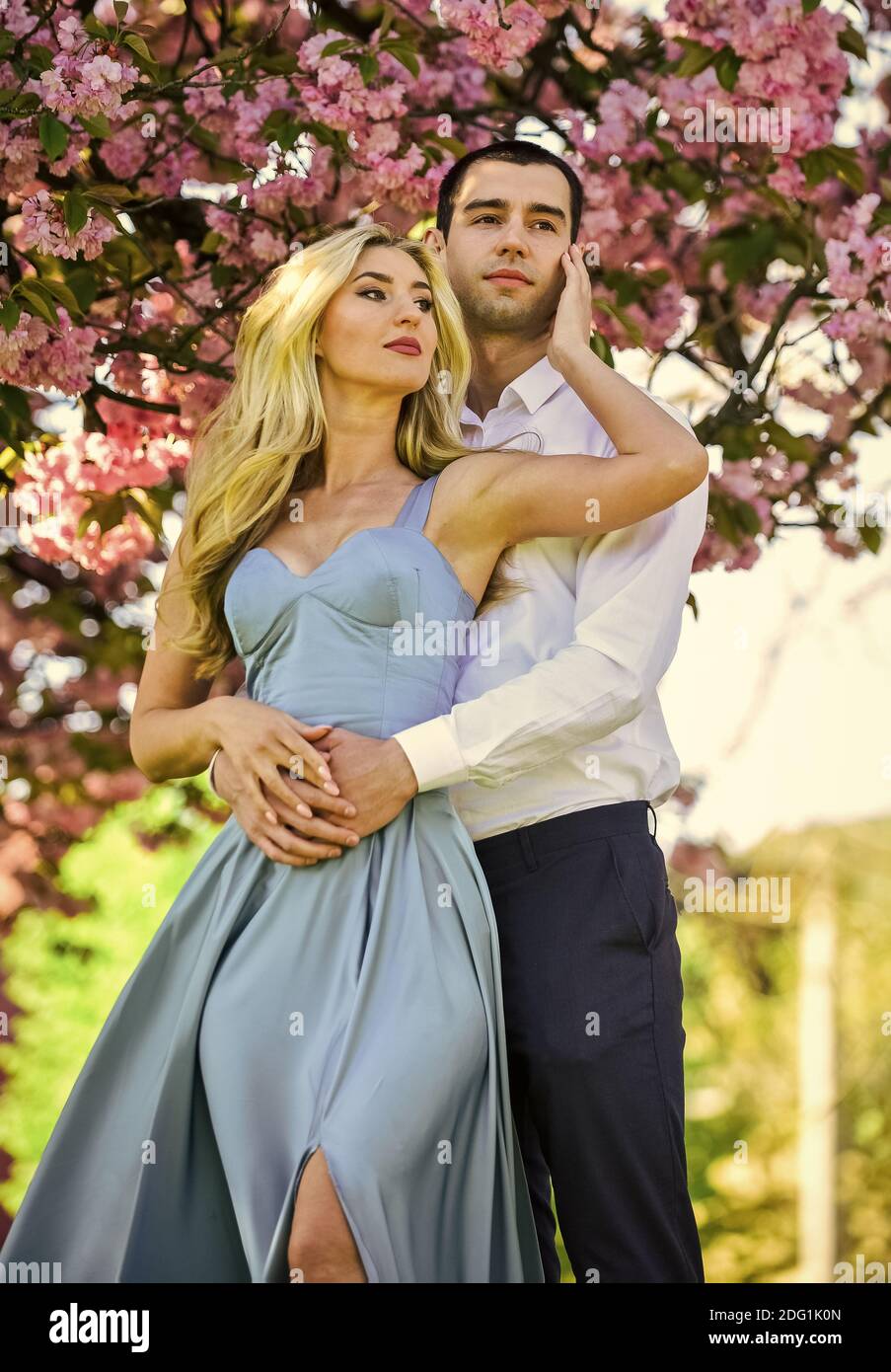 Couple in love kiss under cherry tree blooming hi-res stock photography ...