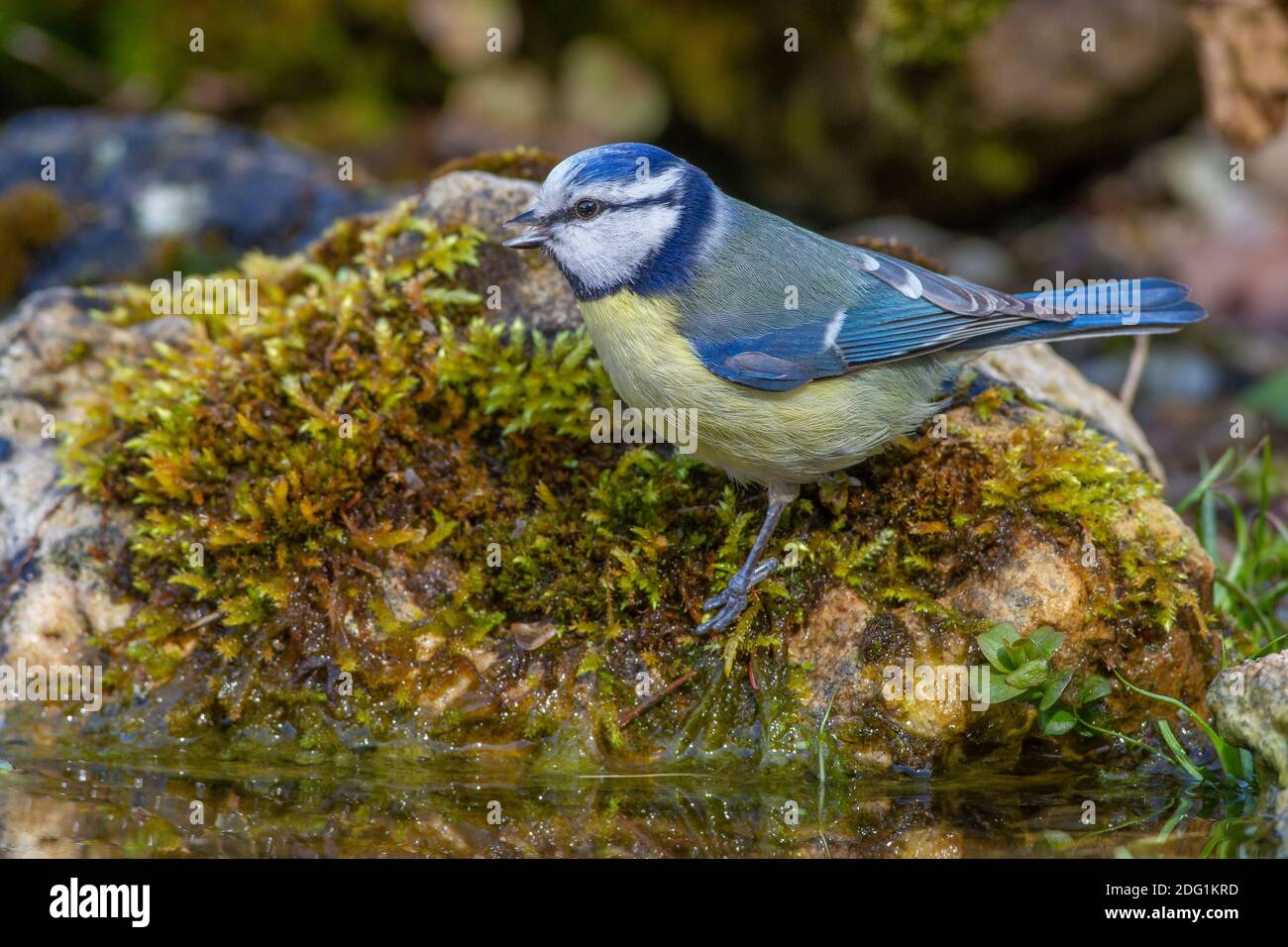 Badend hi-res stock photography and images - Alamy