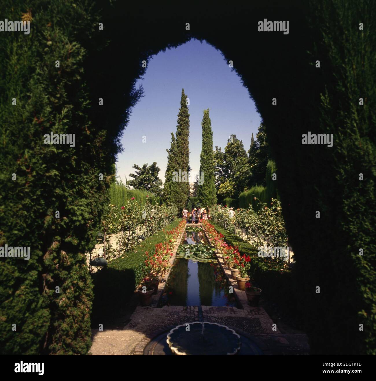 Alhambra trees hi-res stock photography and images - Alamy