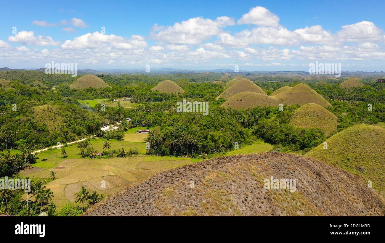 Famous Chocolate Hills natural landmark, Bohol island, Philippines ...