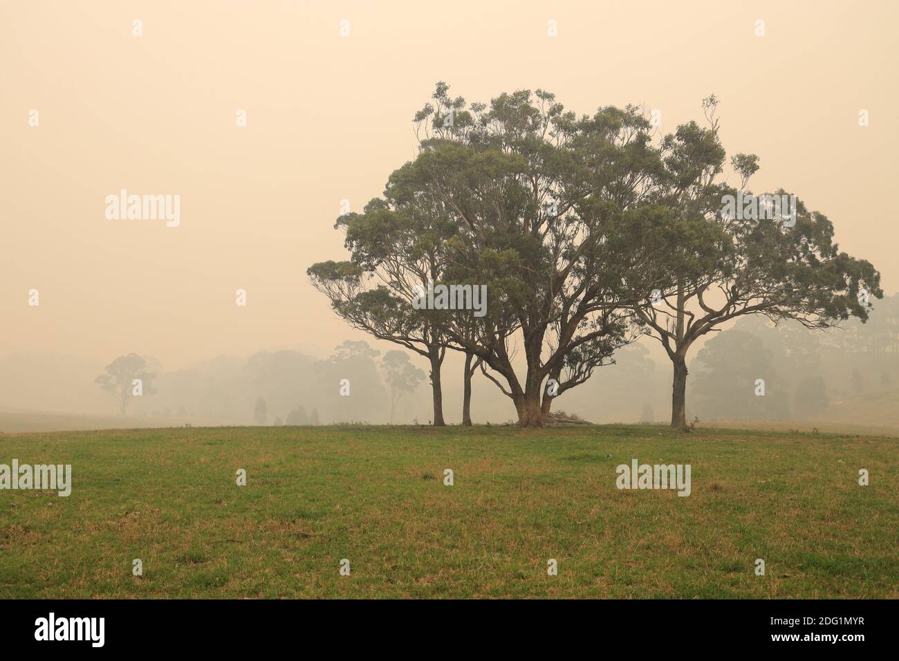 Bushfire smoke over East Gippsland countryside, Victoria, Australia ...