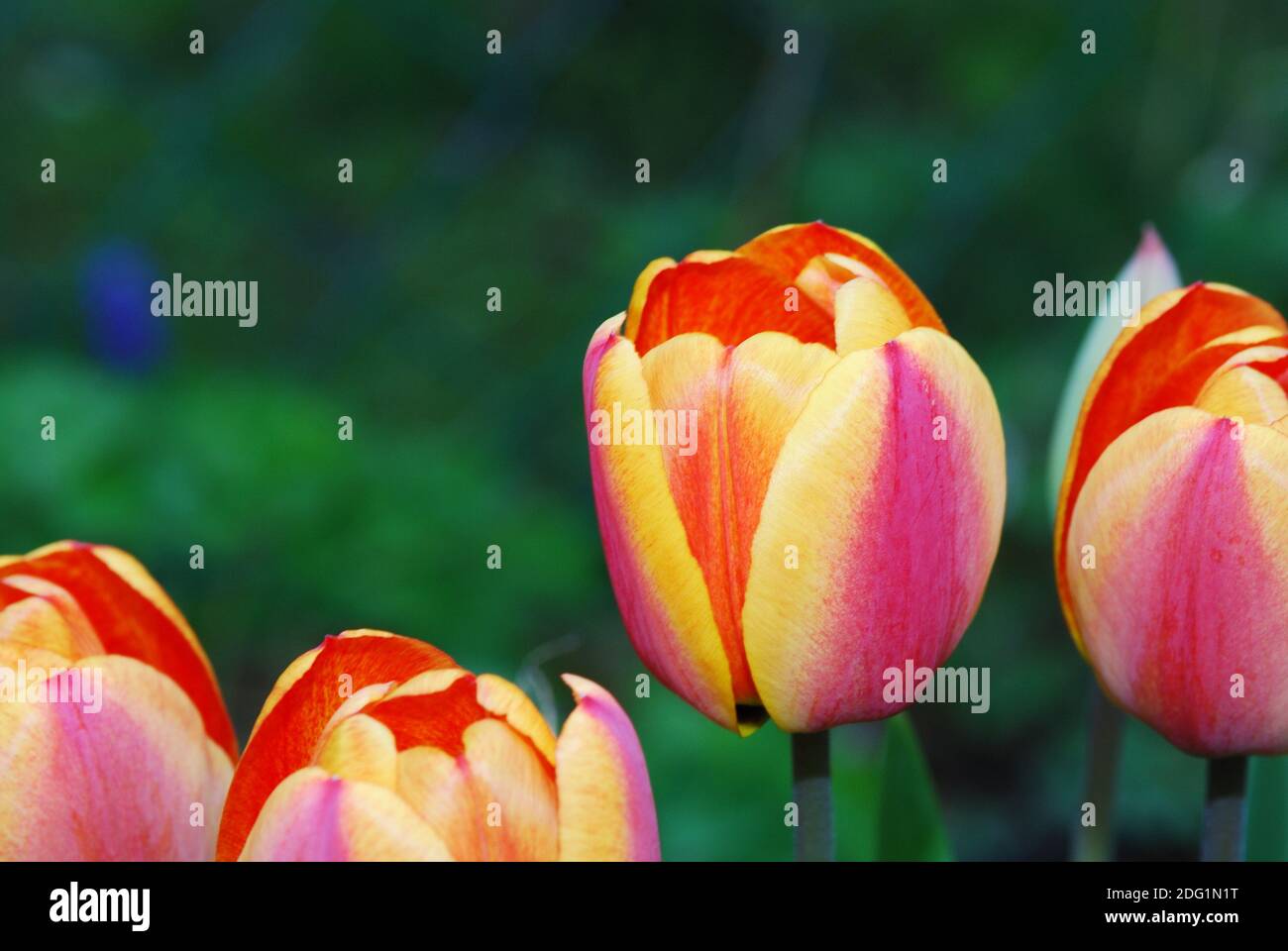 Four currency hi-res stock photography and images - Alamy