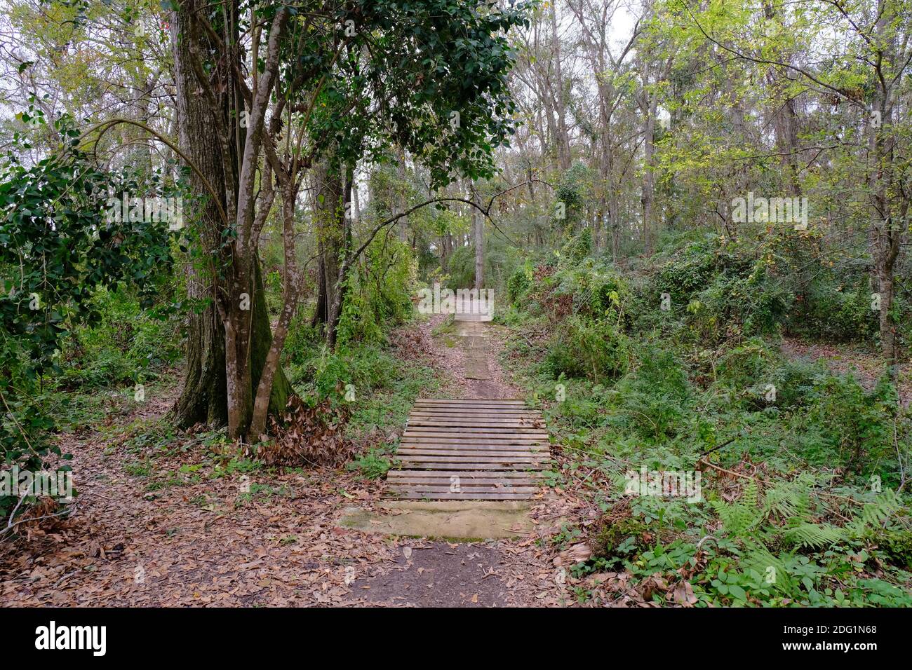 Bike ramps hi-res stock photography and images - Alamy