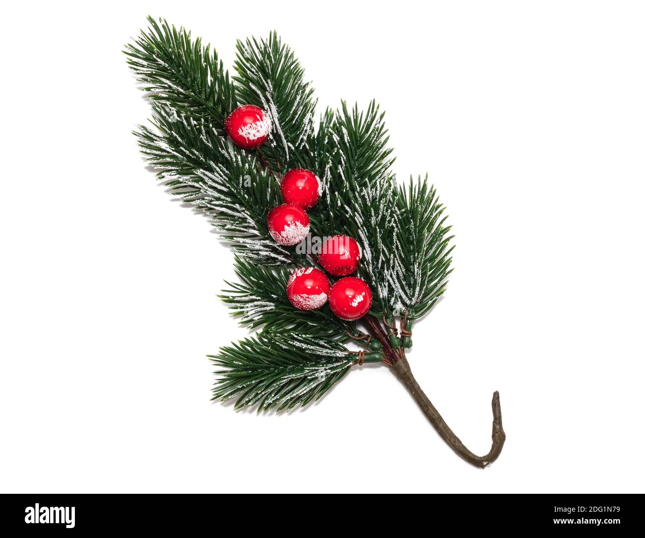 Close up frosted christmas tree Cut Out Stock Images & Pictures - Alamy