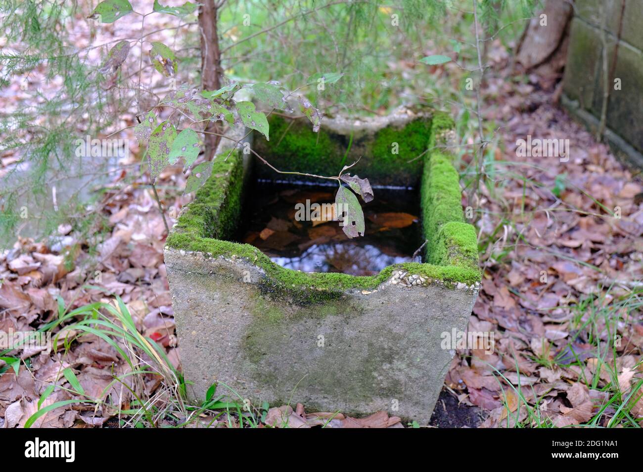 Trough for animals hi-res stock photography and images - Alamy