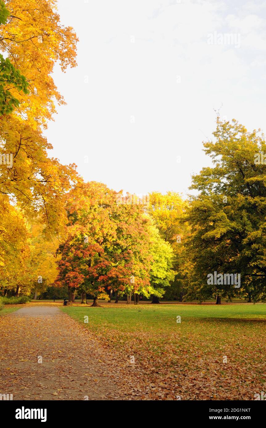 Ka lner city hi-res stock photography and images - Alamy
