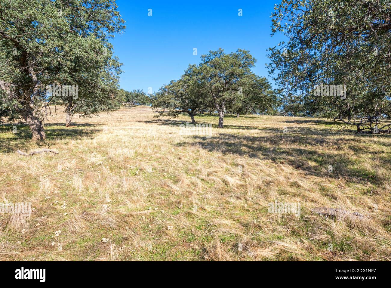 Santa ysabel west preserve hi-res stock photography and images - Alamy