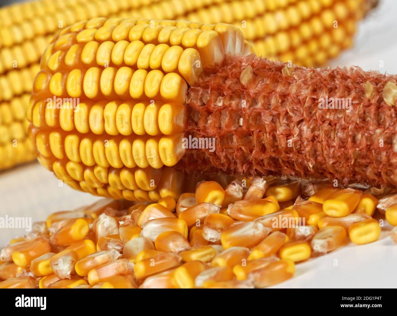 Corncob detail hi-res stock photography and images - Alamy