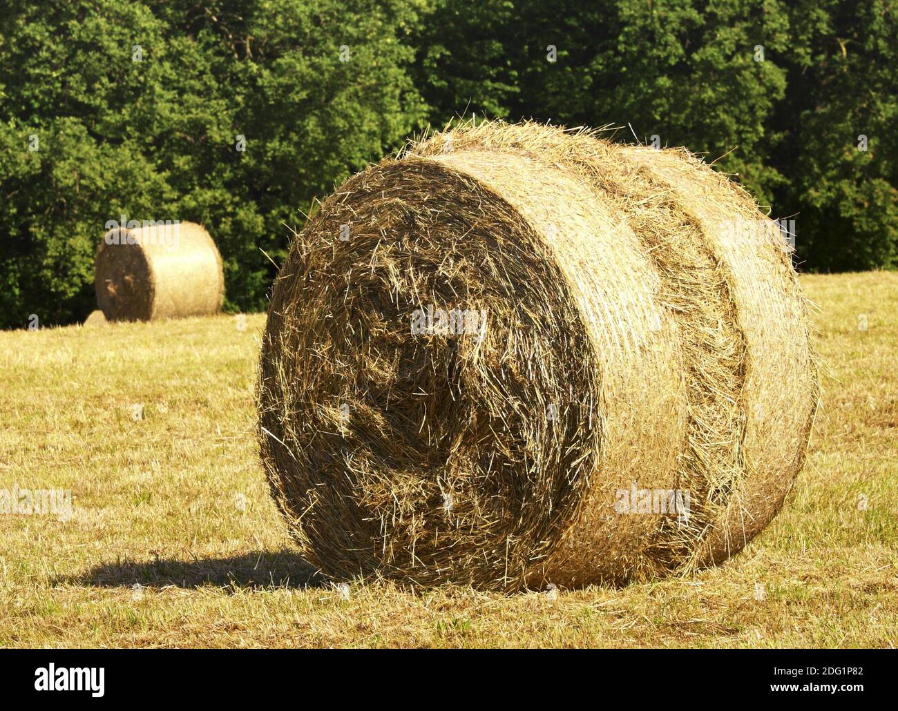 Rural scene of bales Stock Photo - Alamy