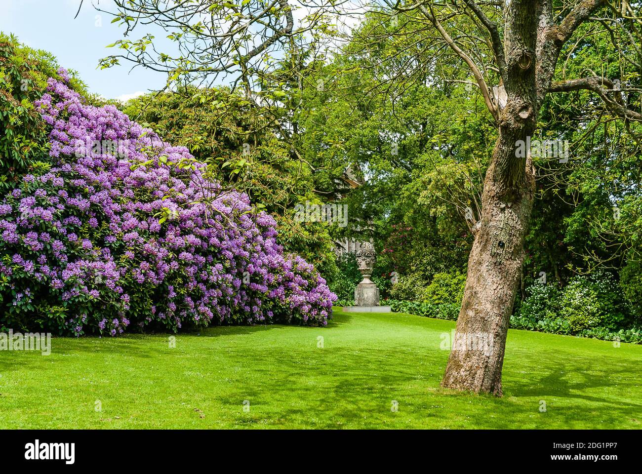 Meadow garden may uk hi-res stock photography and images - Alamy