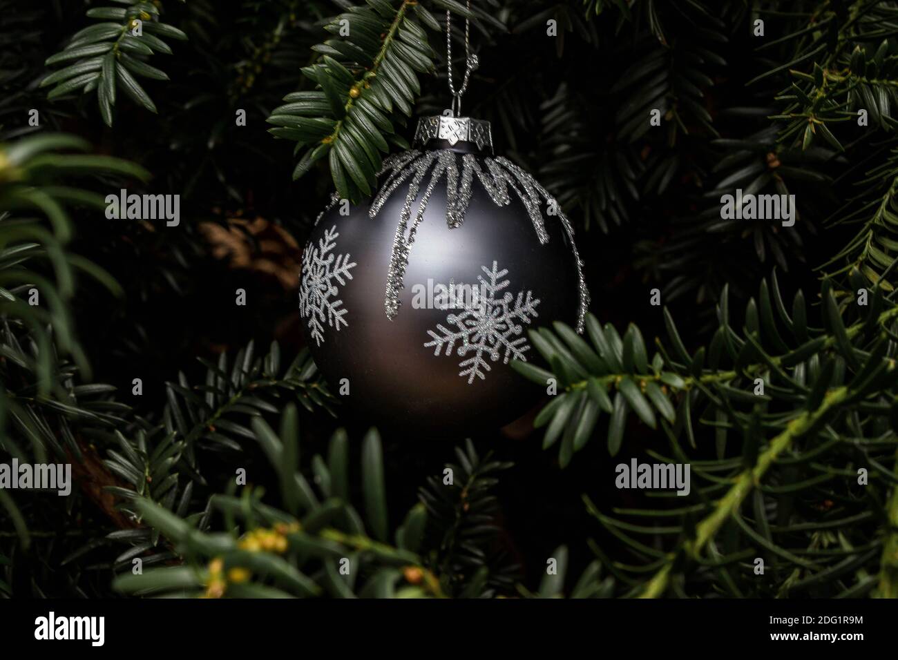 grey christmas tree ball with snowflake design hanging in dark green ...