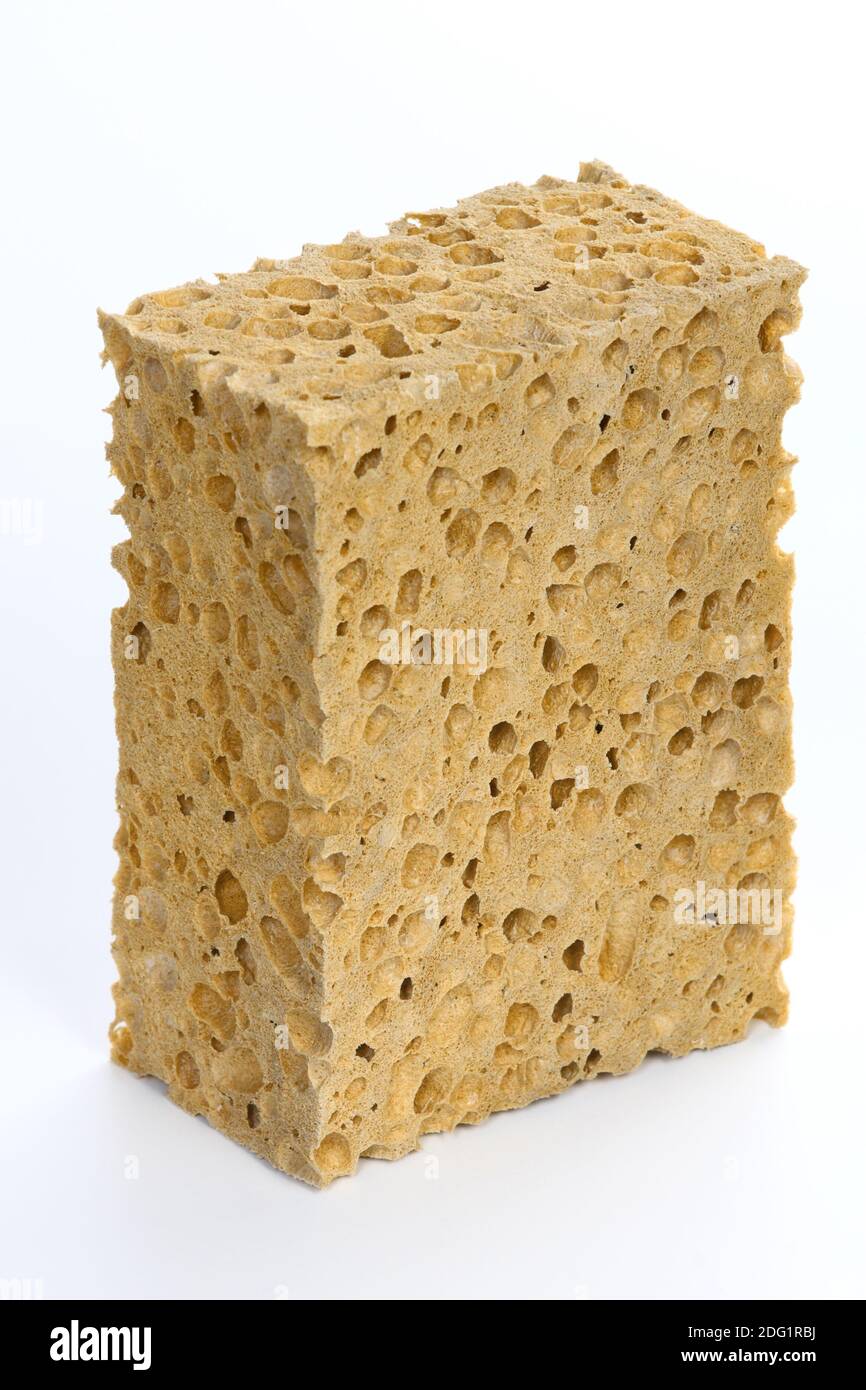 Classic natural sponge Stock Photo - Alamy