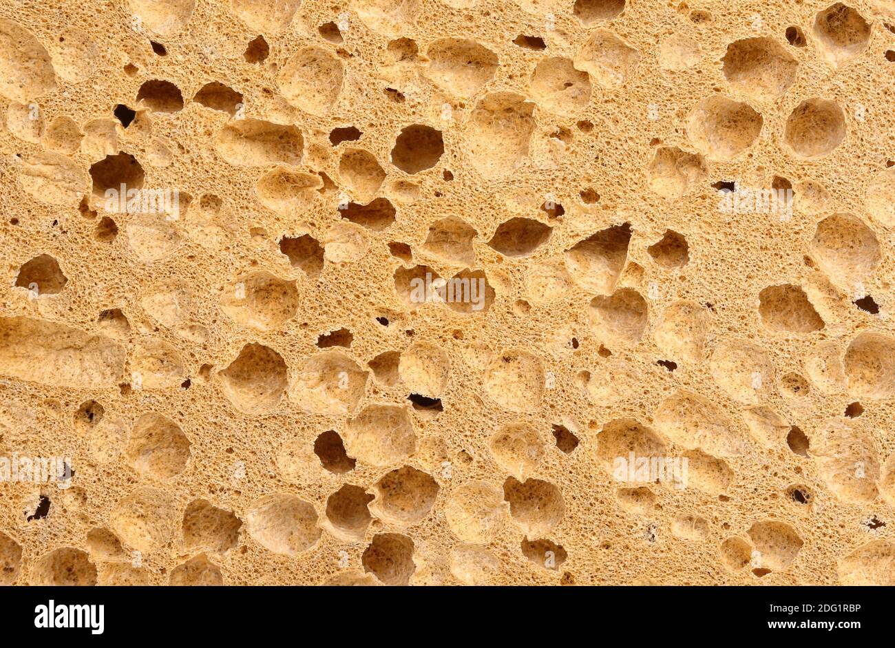Sponge texture hi-res stock photography and images - Alamy