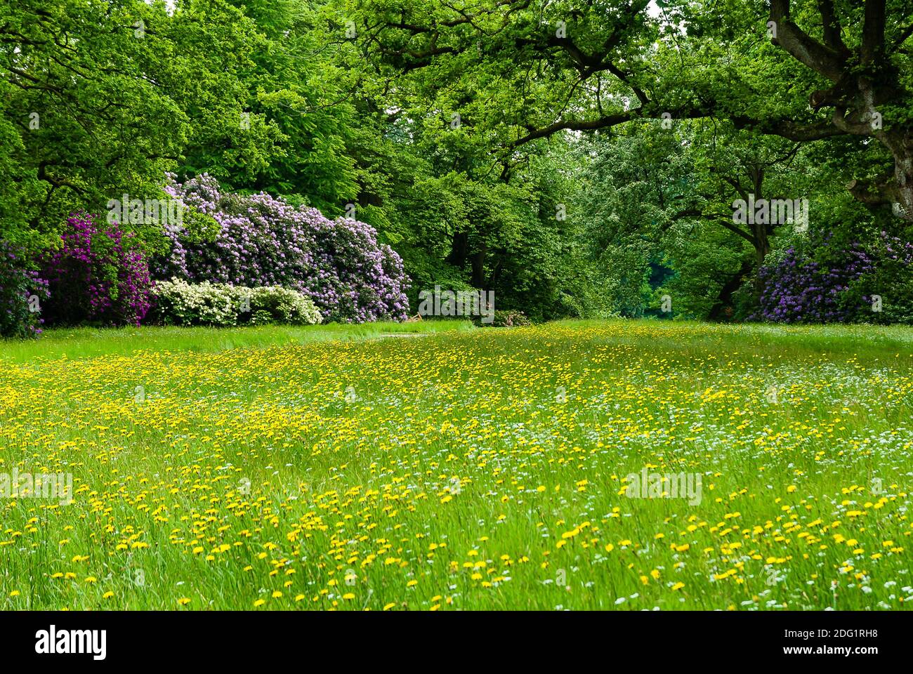 Stourhead Gardens in the Spring Stock Photo - Alamy