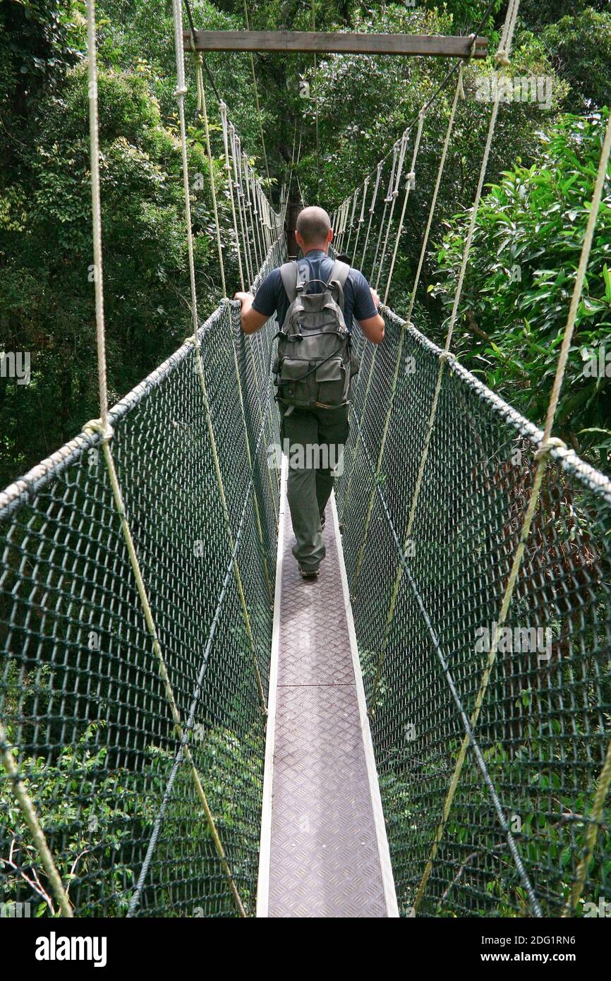 Canopy bridge hi-res stock photography and images - Alamy