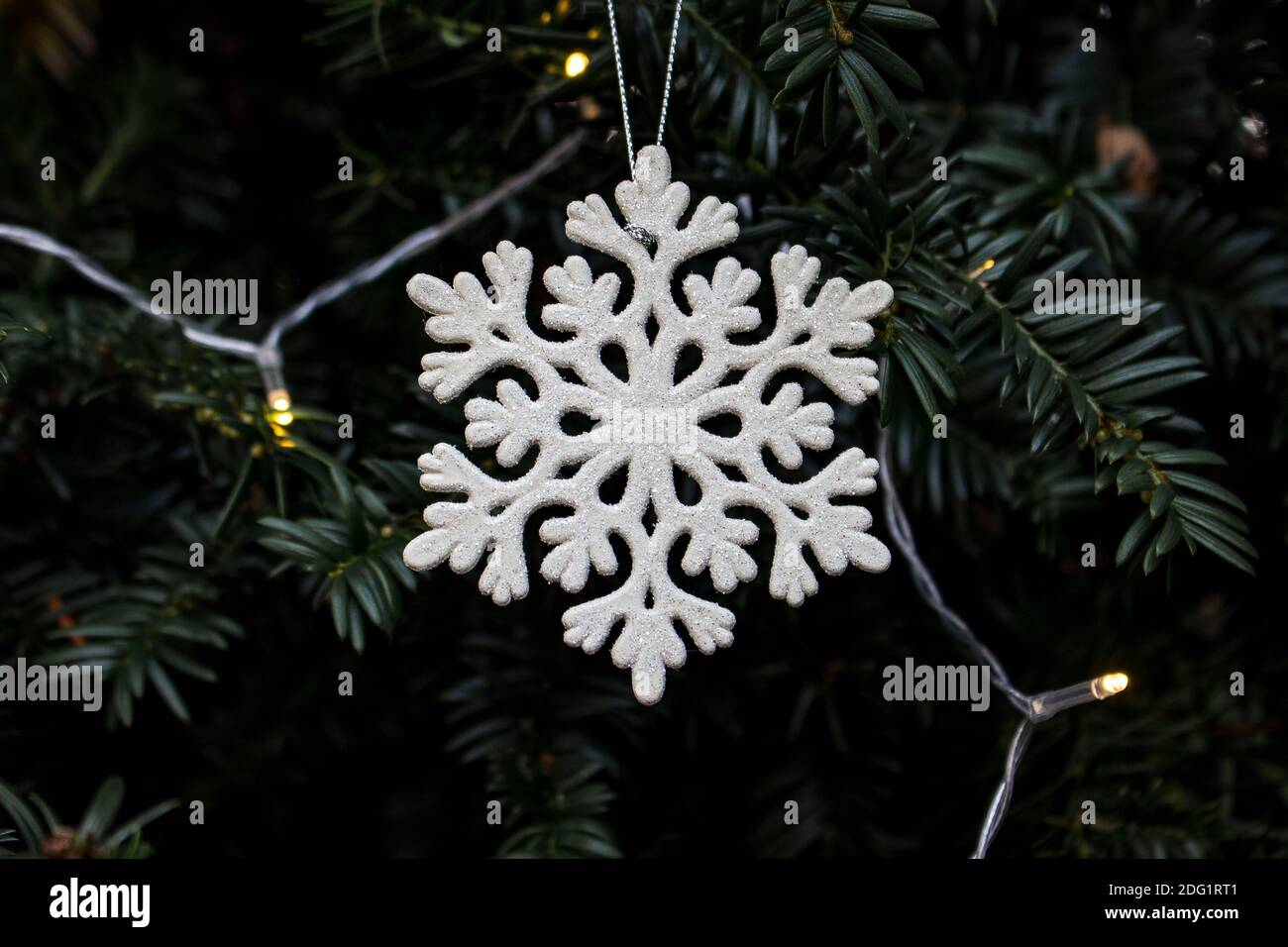 white snowflake ornament with christmas lights in yew tree Stock Photo ...