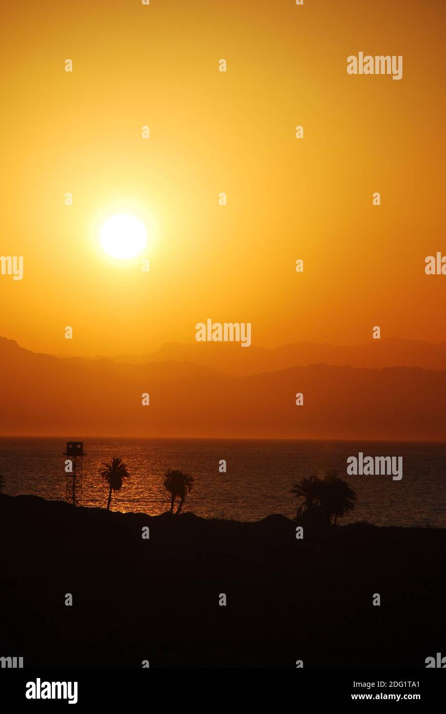 Sunrise with palm trees portrait format Stock Photo - Alamy