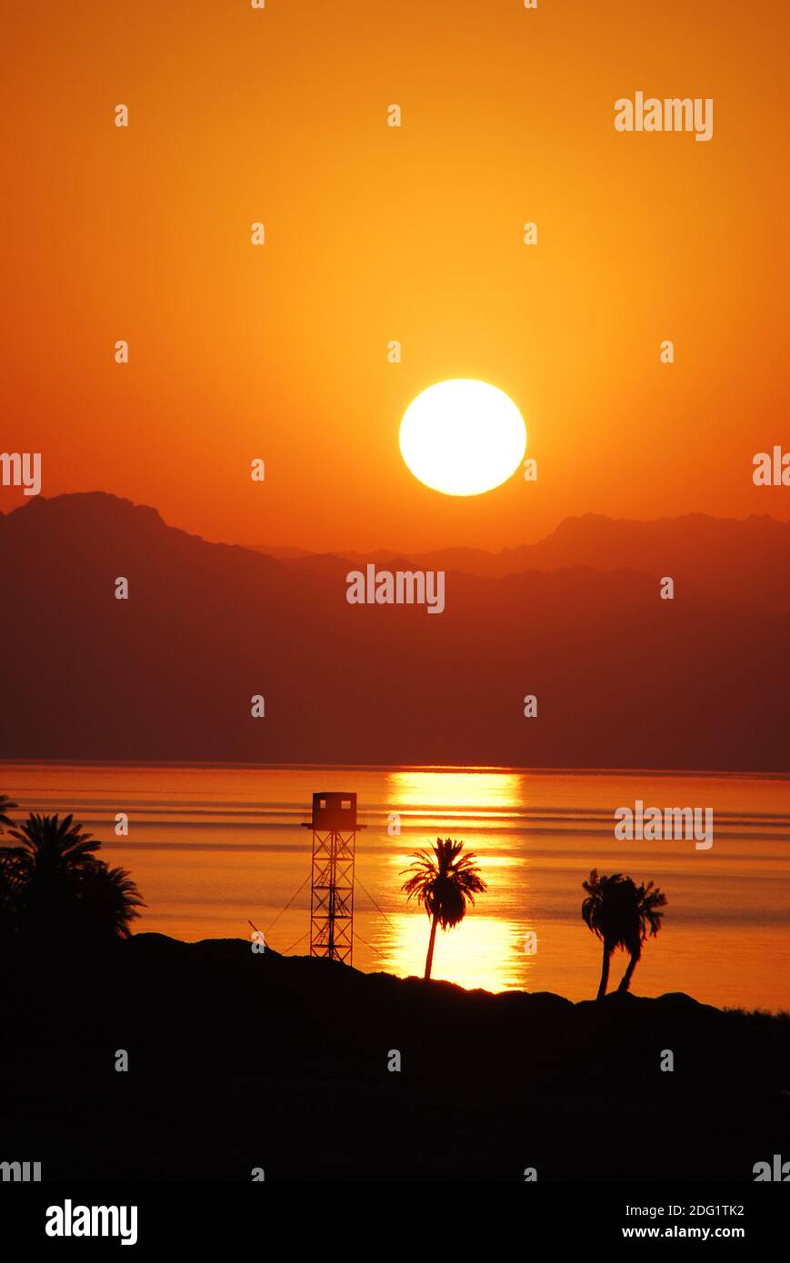 Sunrise with palm trees hi-res stock photography and images - Alamy