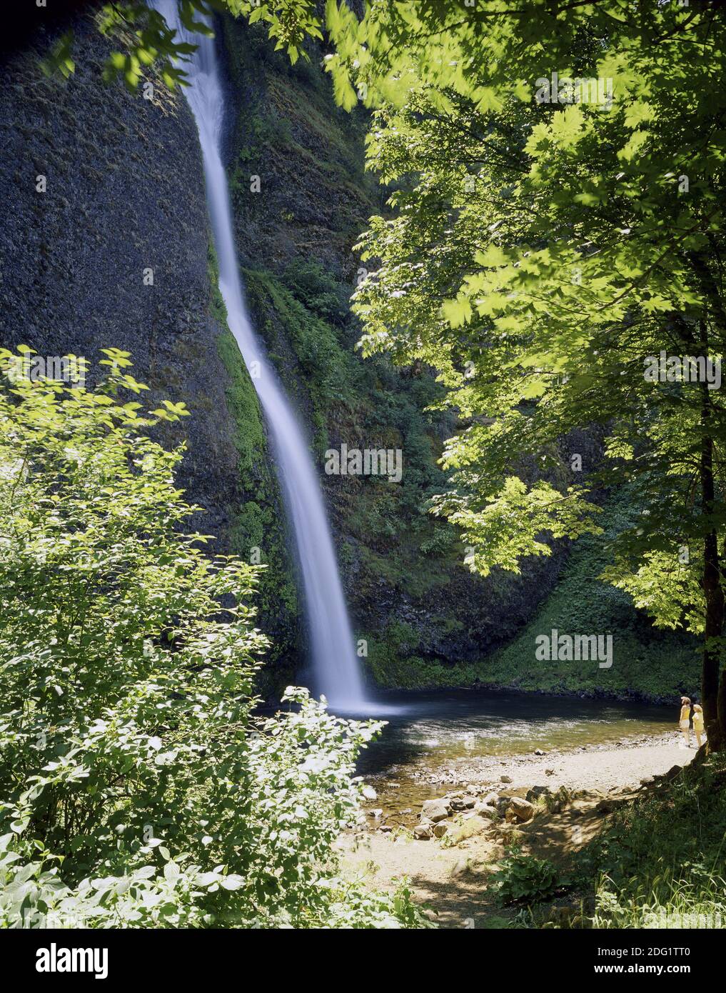 Latourell falls hi-res stock photography and images - Alamy