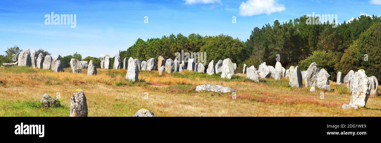 Alignments of megaliths at Carnac in Brittany, France Stock Photo - Alamy