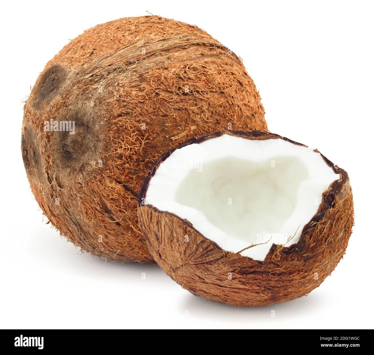 Large evergreen subtropical hi-res stock photography and images - Alamy