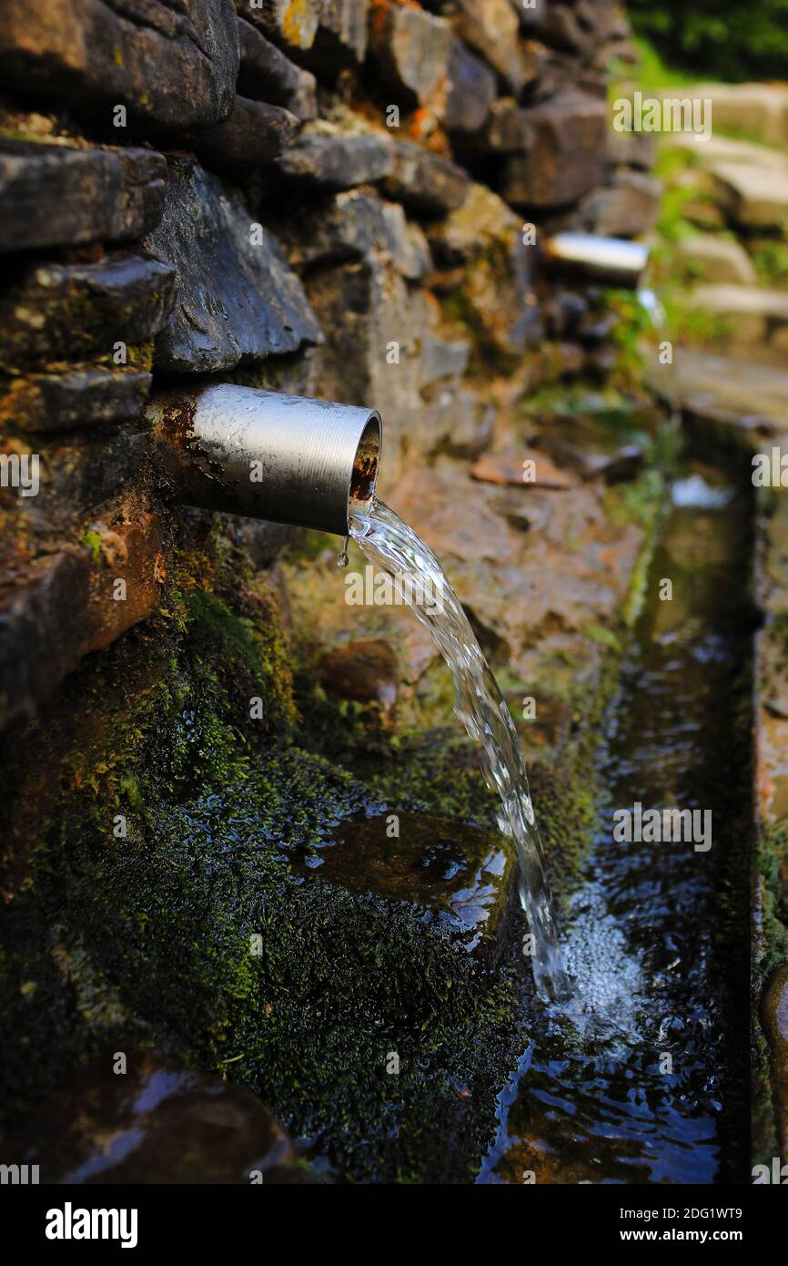 spring water pouring from a metal pipe from a stone wall in the woods ...