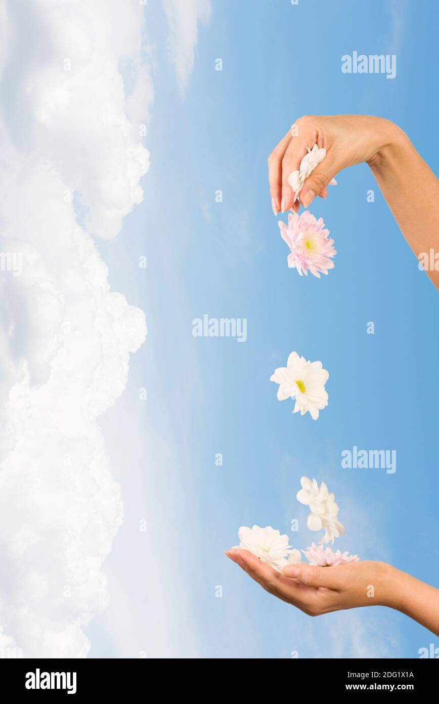 Woman hands and flowers Stock Photo - Alamy