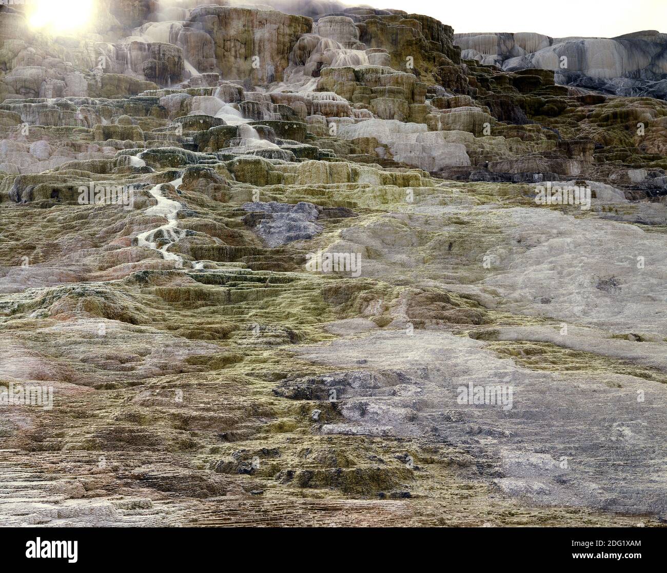 Jupiter terrace yellowstone national park hi-res stock photography and ...