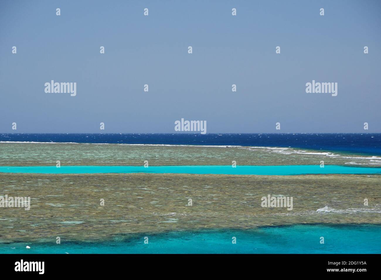 Coral reef view Stock Photo - Alamy