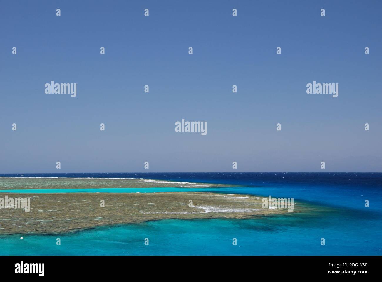 Coral reef in egypt Stock Photo - Alamy