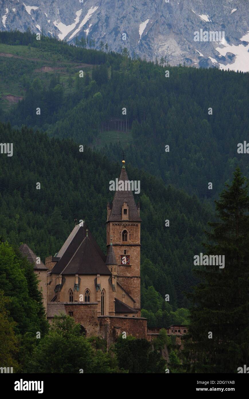 Lots of trees hi-res stock photography and images - Alamy