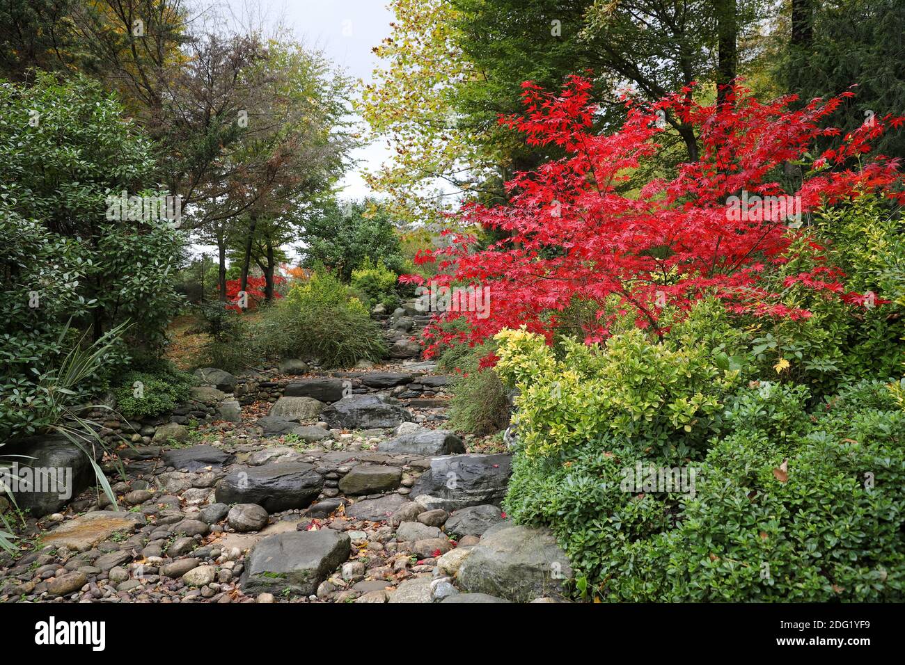Stream bed forest during hi-res stock photography and images - Alamy