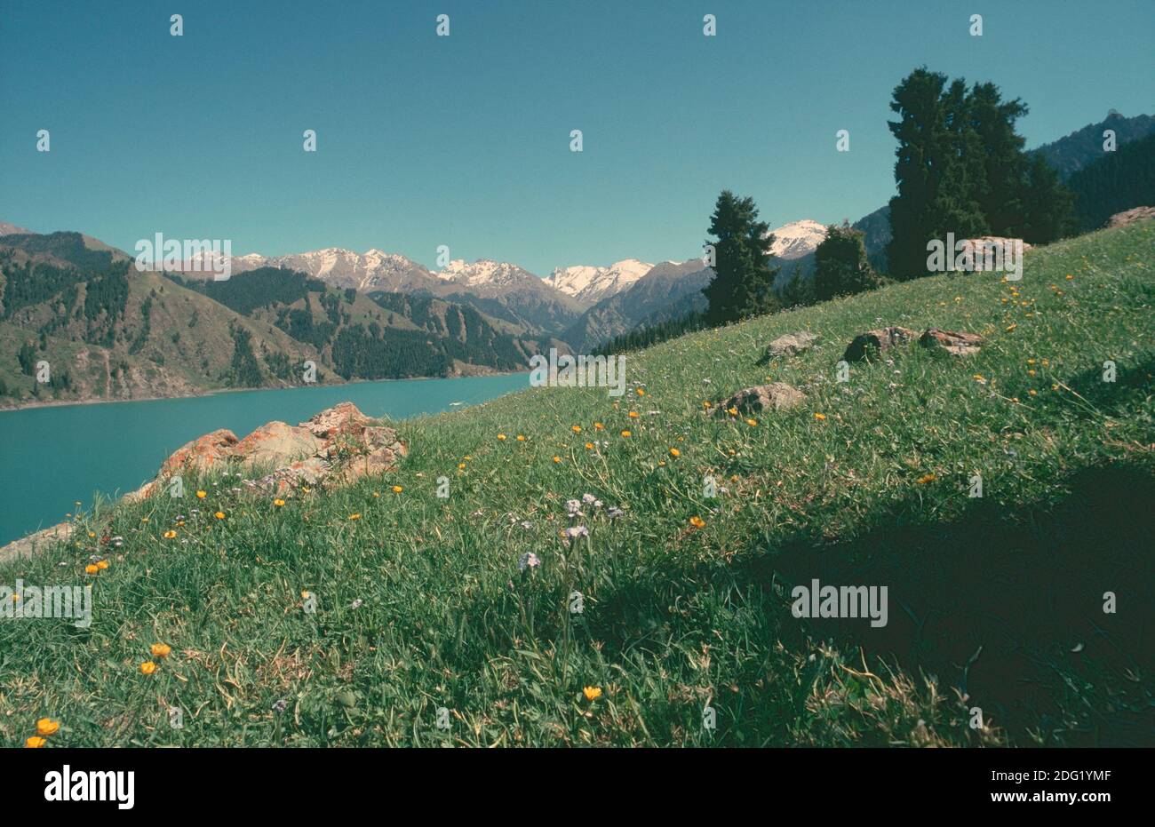view of Tianchi, Heavenly Lake or Heaven Lake in Xinjiang, northwest ...