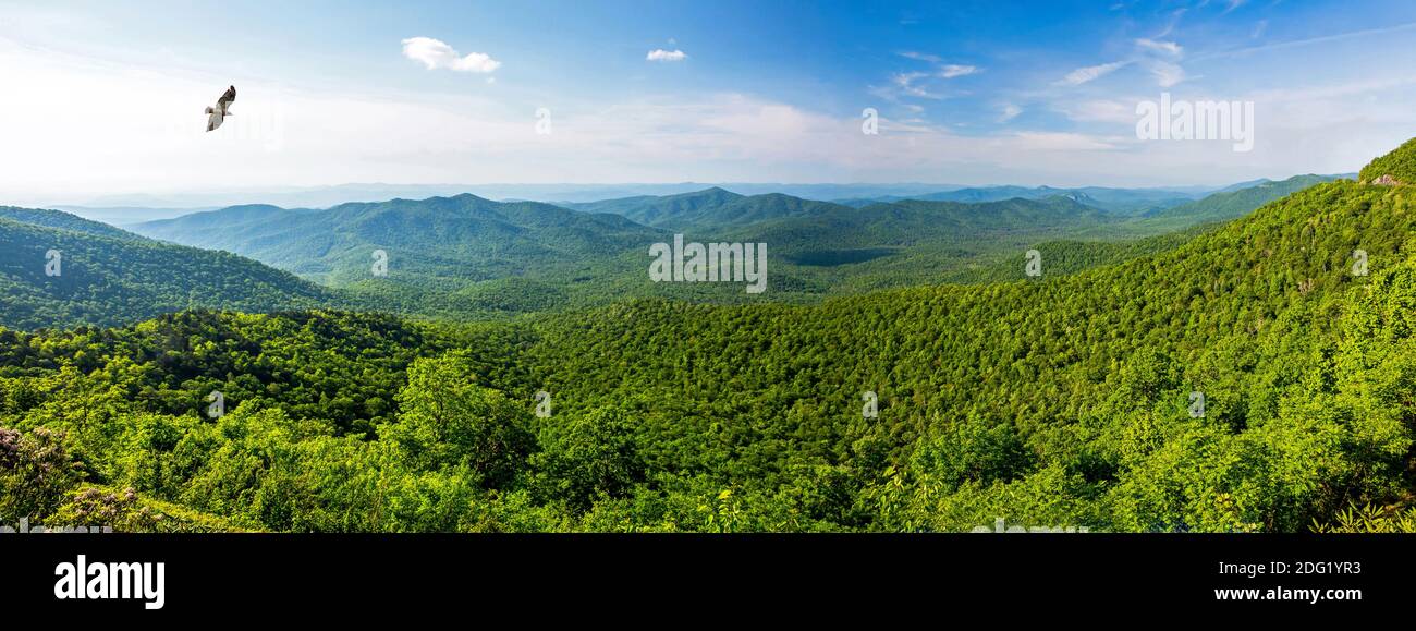 View of the Blue Ridge mountains in North Carolina from an overlook on ...