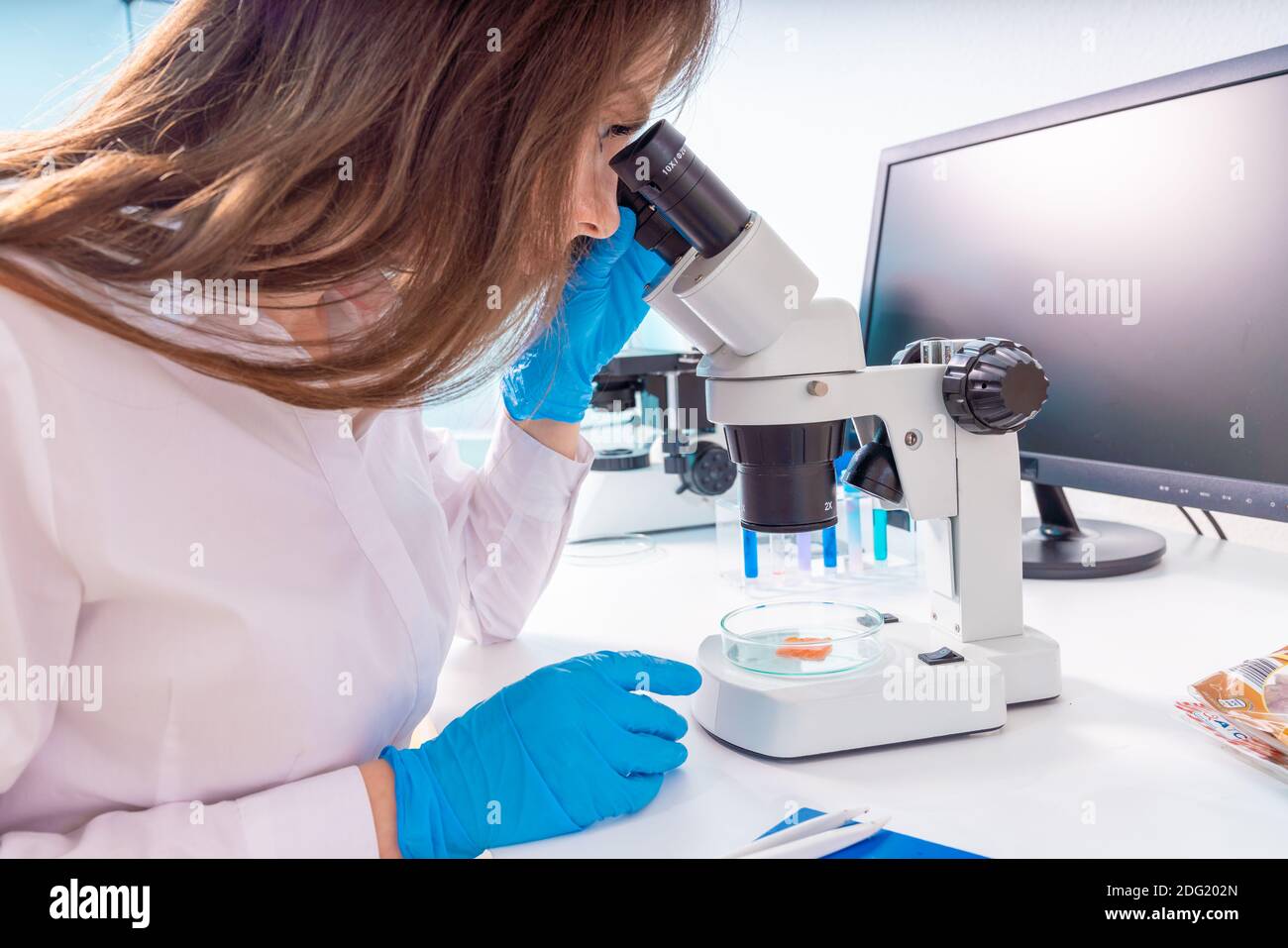 Meat inspection hi-res stock photography and images - Alamy