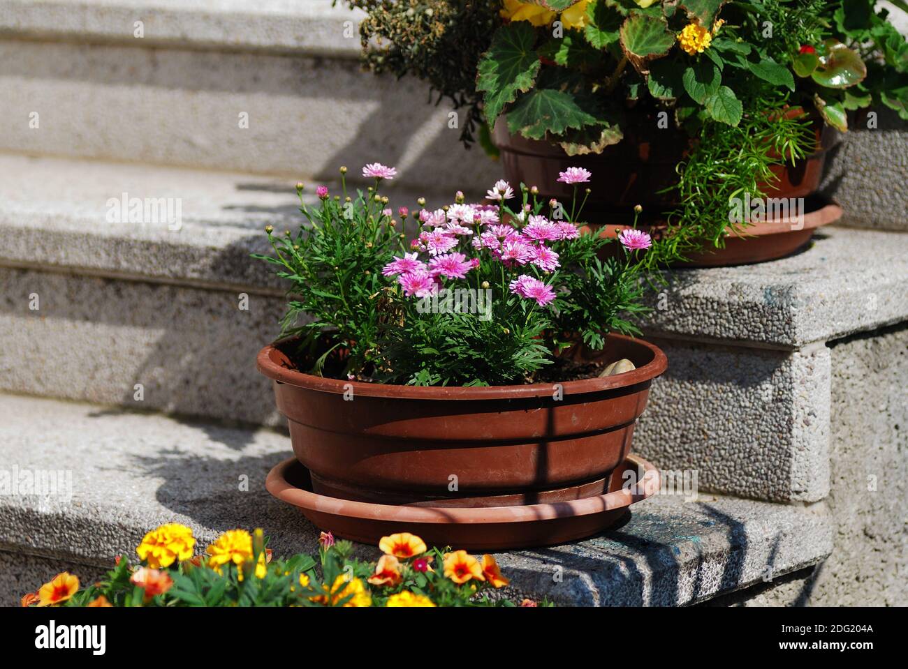Flowers stairs hi-res stock photography and images - Alamy