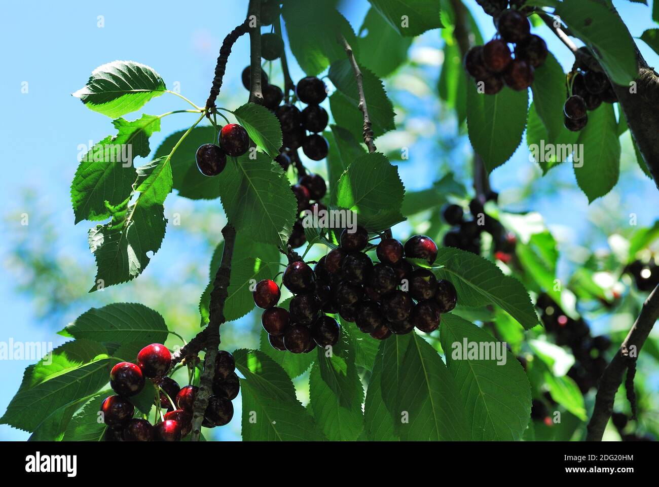 Many dark hi-res stock photography and images - Alamy