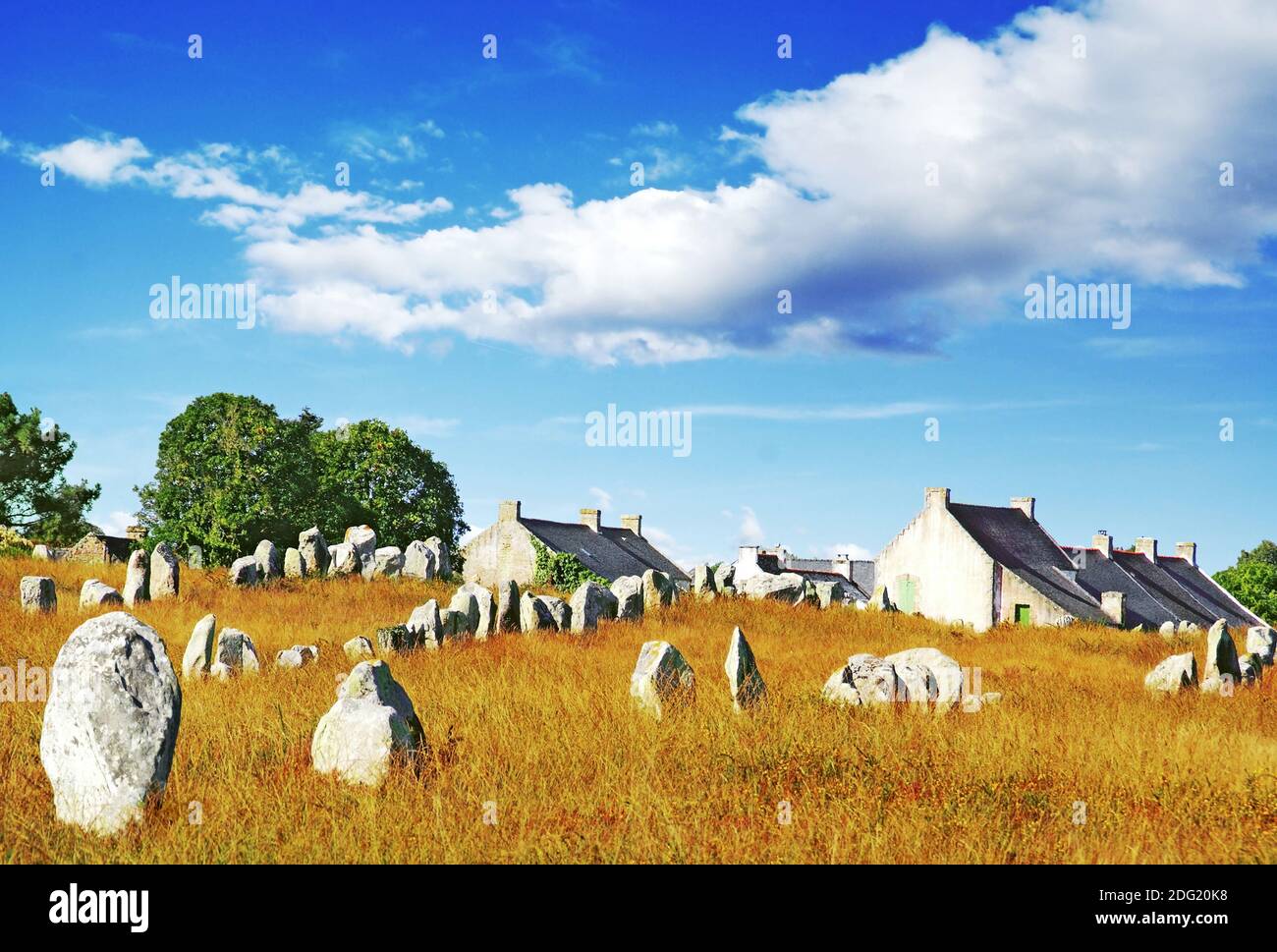 Alignments of megaliths at Carnac in Brittany, France Stock Photo - Alamy