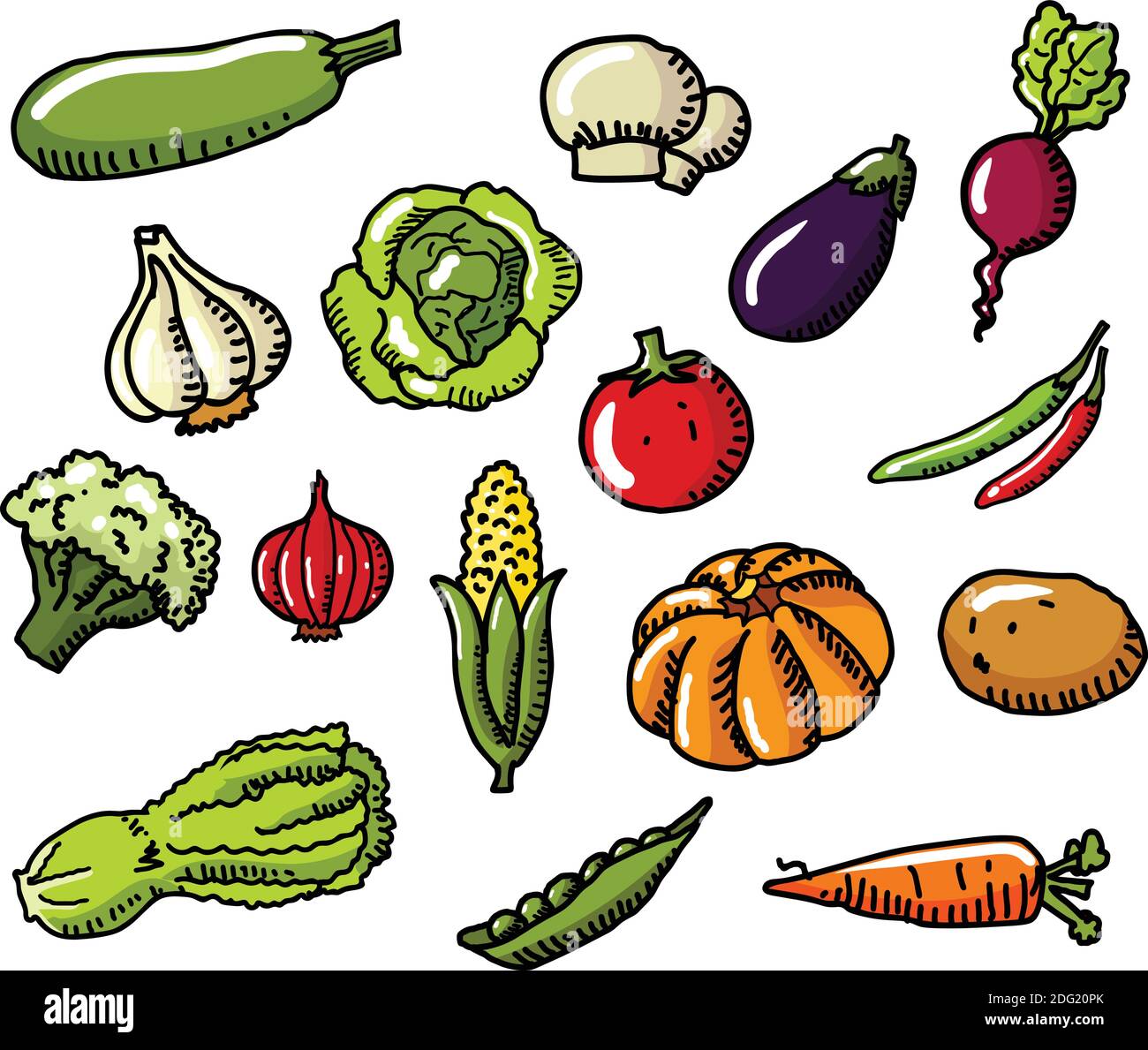 Common vegetables Stock Vector Images - Alamy