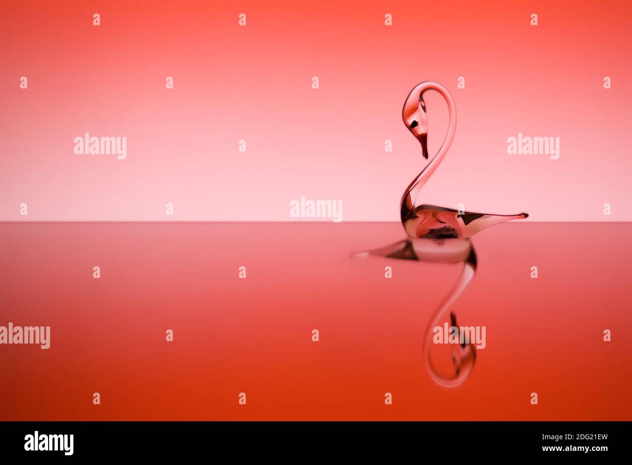 Sad swan hi-res stock photography and images - Alamy