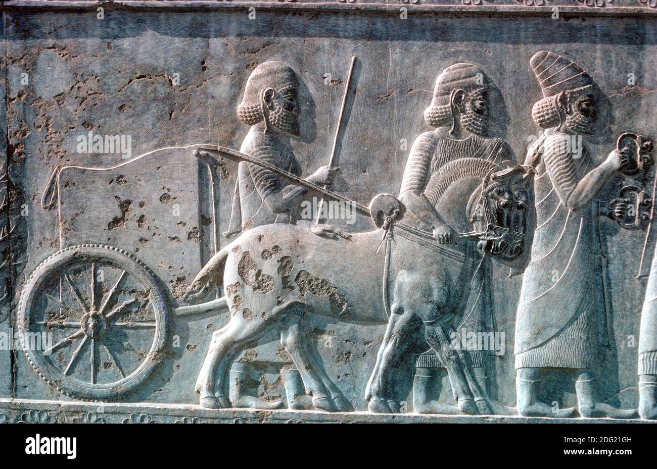 Darius And Xerxes Receiving Tribute