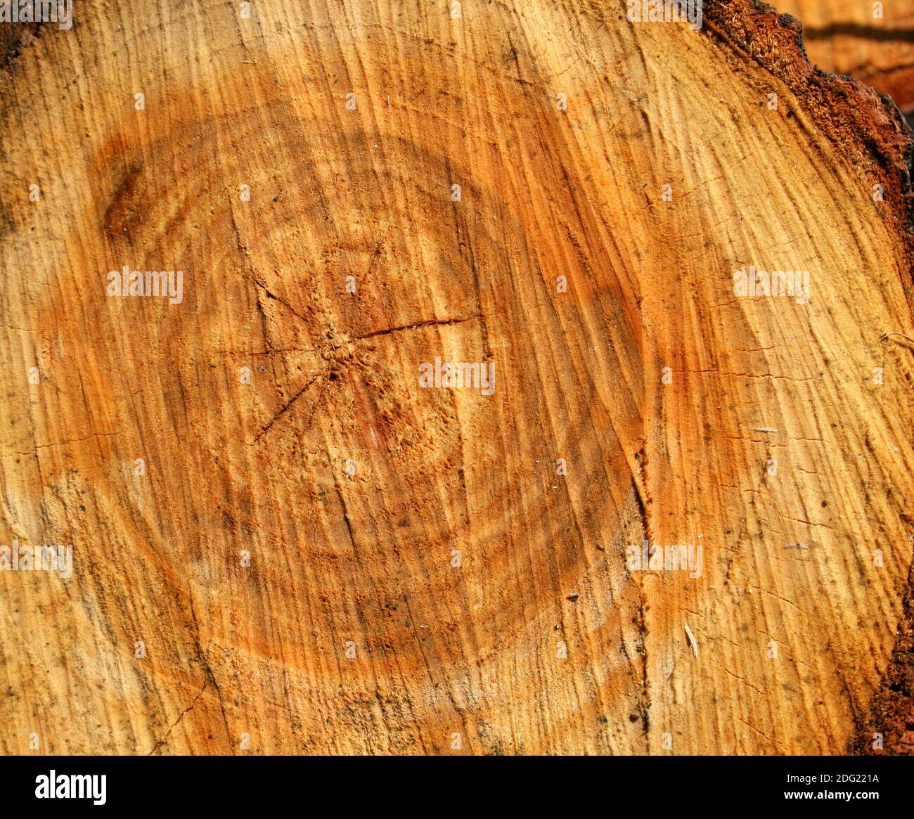 African oak floor texture hi-res stock photography and images - Alamy