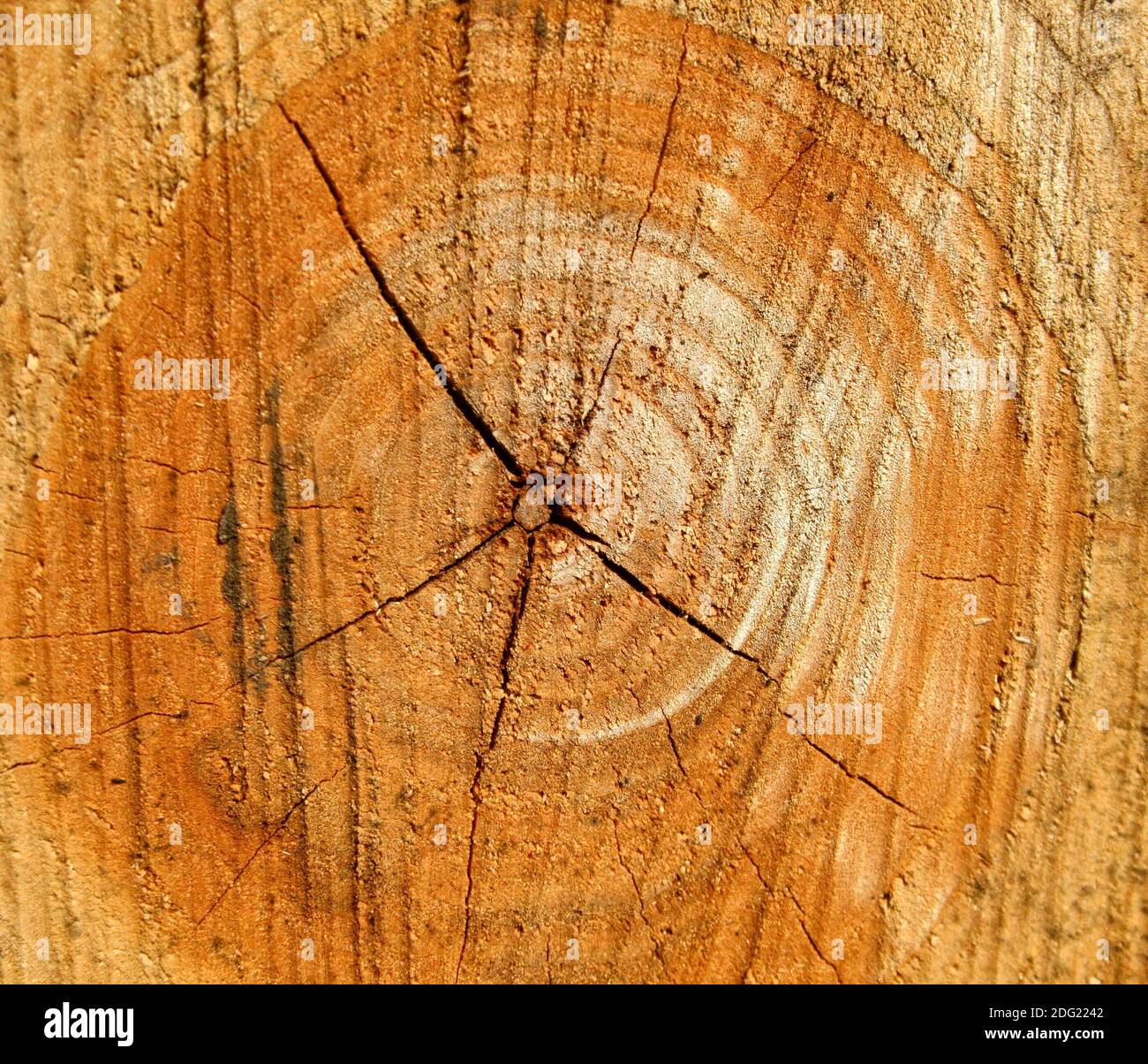 African oak floor texture hi-res stock photography and images - Alamy