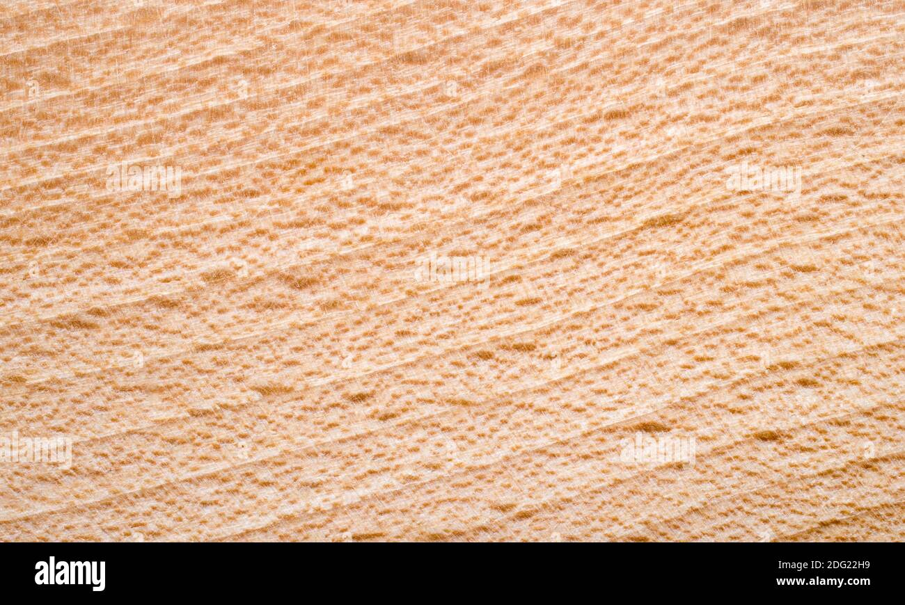 Beechen texture closeup background Stock Photo - Alamy