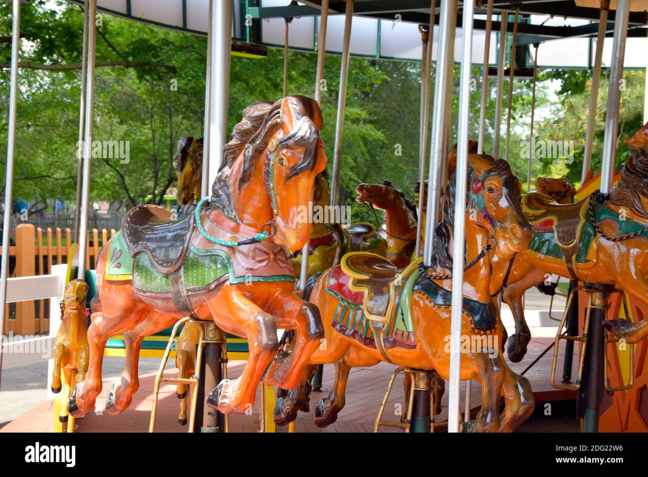 Erie Zoo Carousel