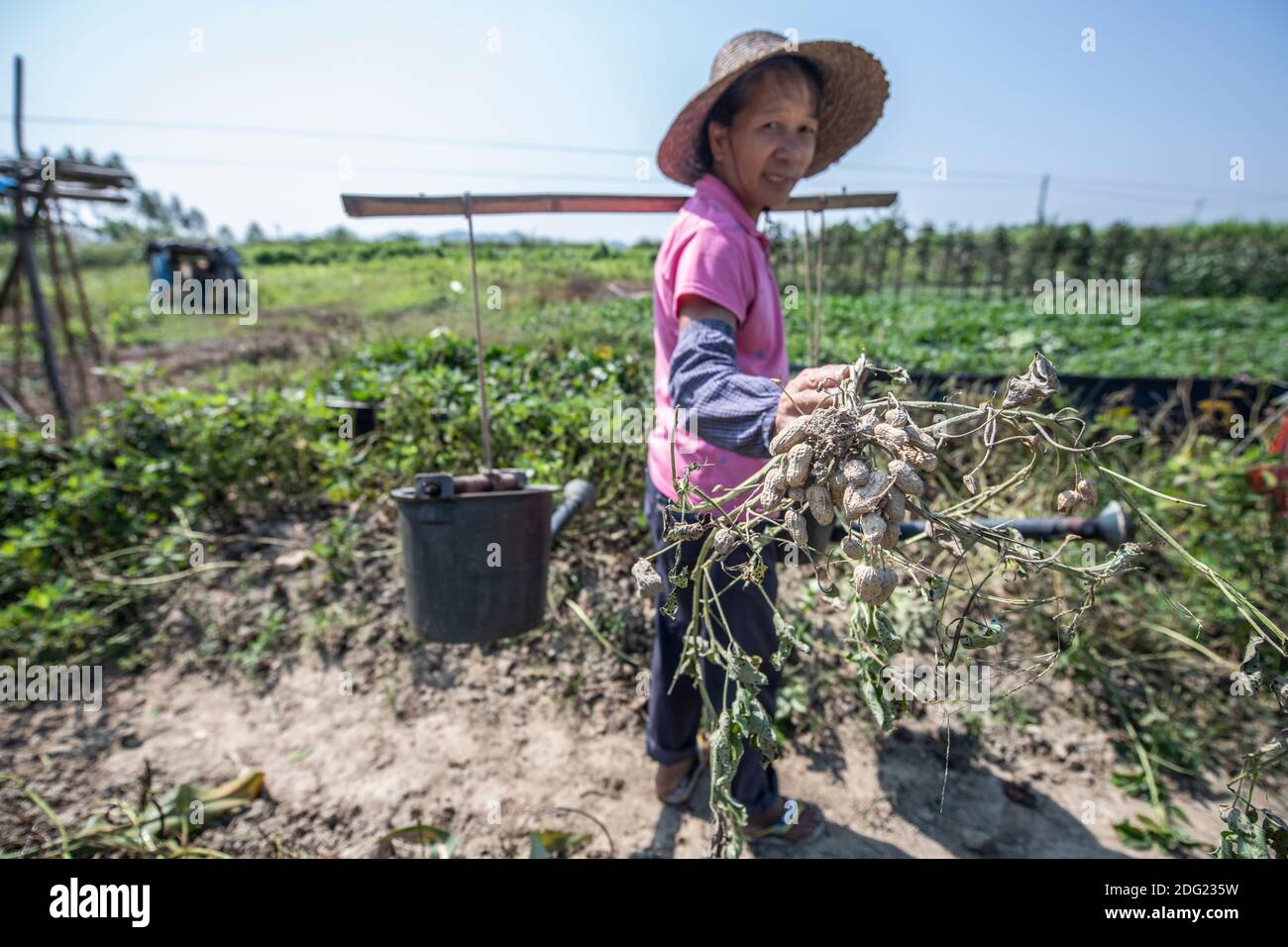 Small scale agriculture in rural China - organic, subsistence farming ...