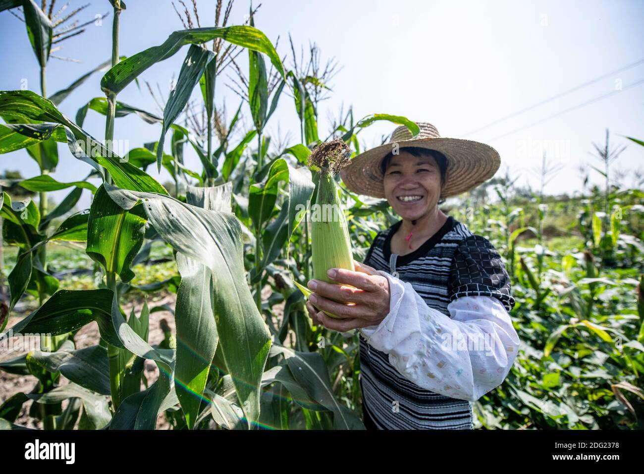 Small scale agriculture in rural China - organic, subsistence farming ...