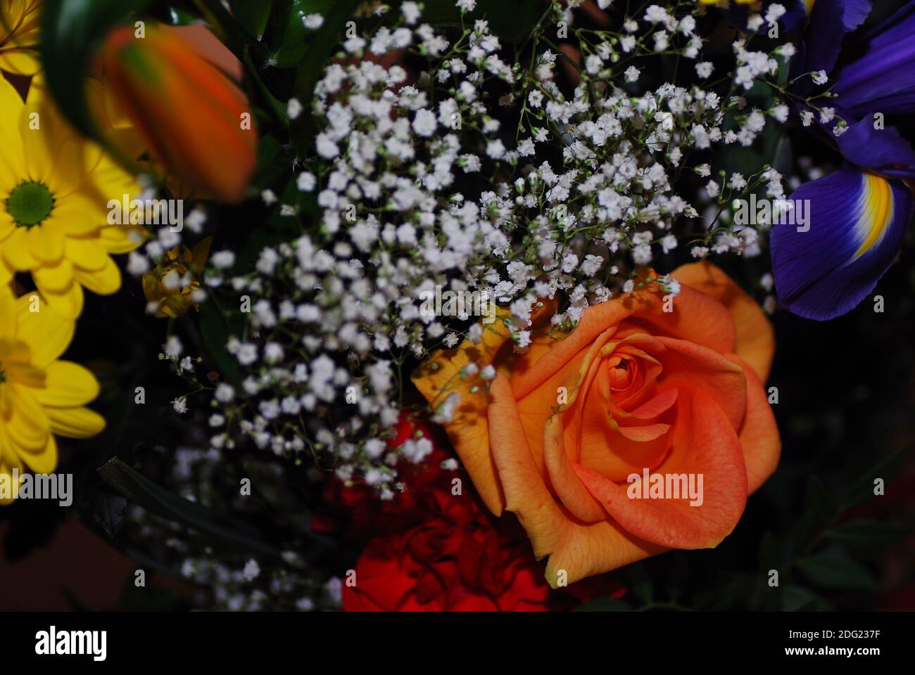 Colourful bouquet hi-res stock photography and images - Alamy