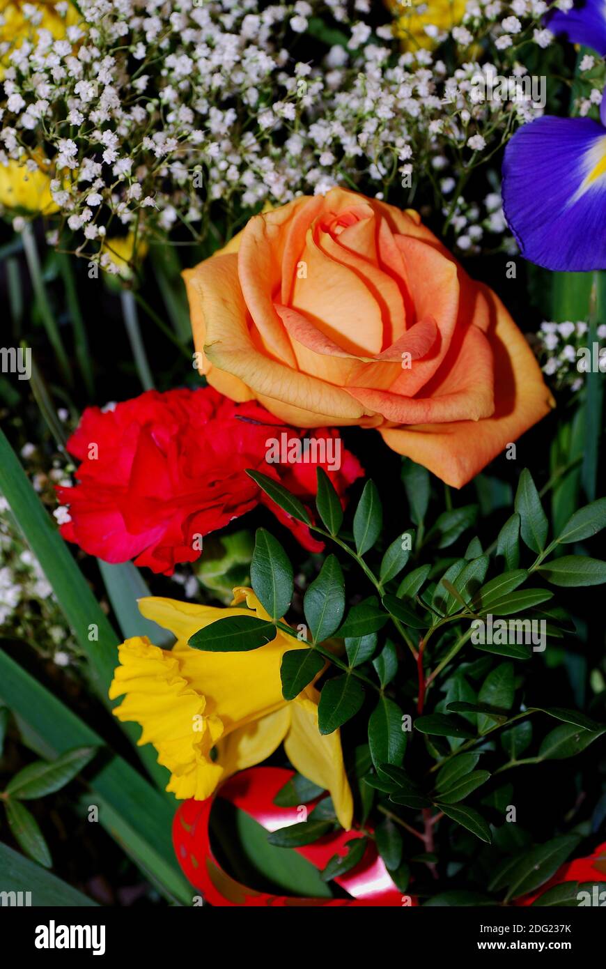 Colourful bouquet hi-res stock photography and images - Alamy